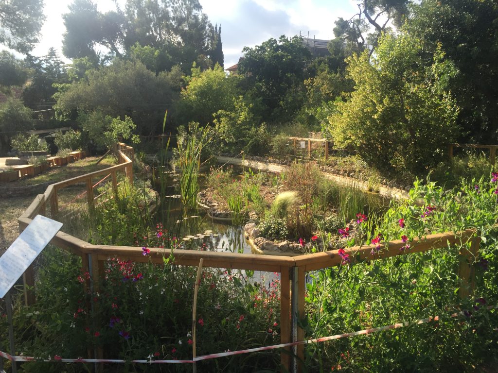 Design and Implementation of Community Gardens, Jerusalem & Tel Aviv ...